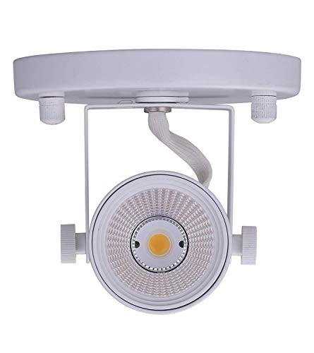 CLOUDY BAY LED Flush Mount Ceiling Spot Light,CRI90+ 8W 600lm 3000K Warm White Dimmable,Adjustable Tilt Angle Ceiling Light Fixture,White Finish
