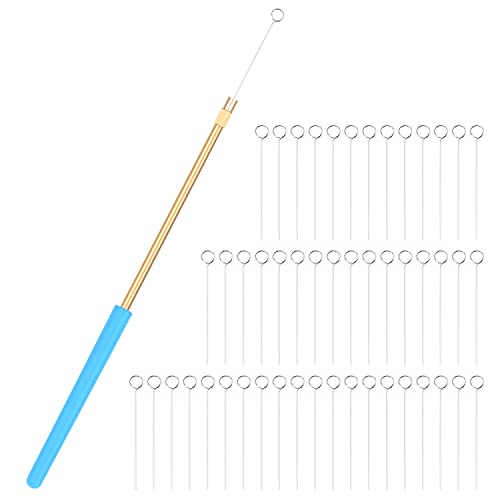 stonylab Inoculating Loops, 1 Reusable Inoculating Holder and 50 pcs Nichrome Inoculating Loops for Lab Microbiology