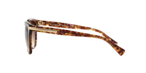 Coach HC8132 Sunglasses, Light Brown Confetti Tortoise/Brown Gradient, 57 mm