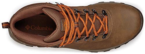 Columbia Men's Newton Ridge Plus II Waterproof Hiking Boot Shoe, Dark Brown/Bright Copper, 11.5 M US