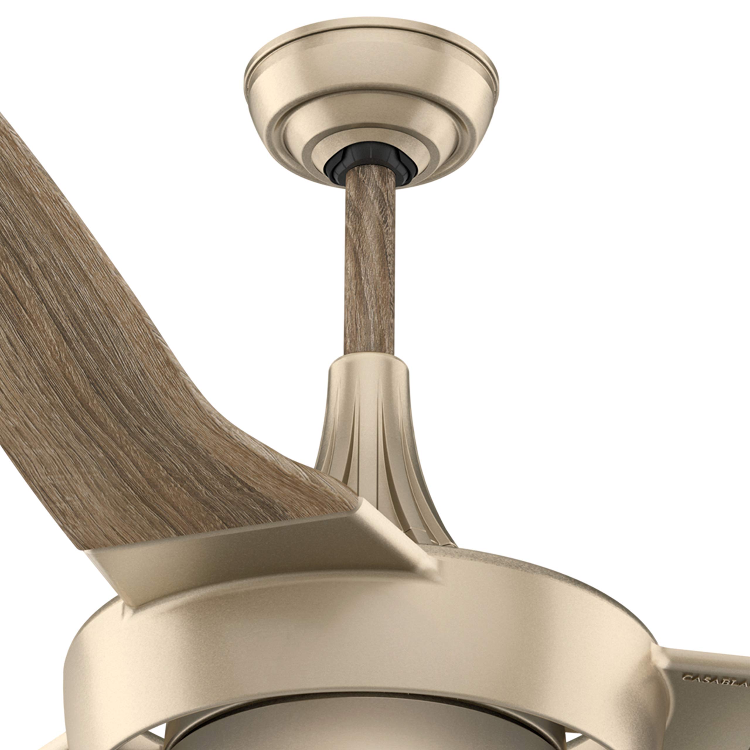 Casablanca Fan 64 inch Contemporary Metallic SunSand Ceiling Fan with Light Kit and Remote Control (Renewed)