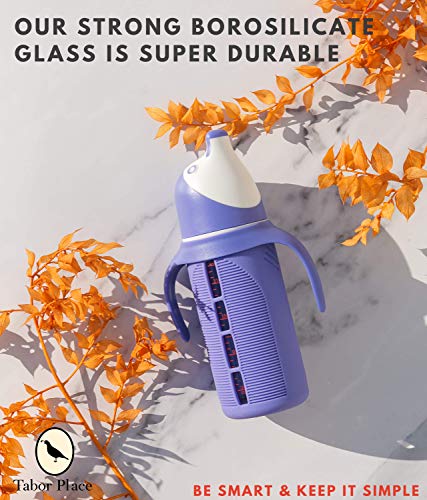 Tabor Place Glass Sippy Cup for Toddlers - The Luca | Spill-proof | Silicone Straw | Mint Green | 8 oz | Liquids Never Touch Plastic | Removable Handles
