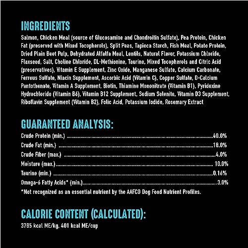 CRAVE Grain Free Adult High Protein Natural Dry Cat Food with Protein from Salmon & Ocean Fish, 10 lb. Bag