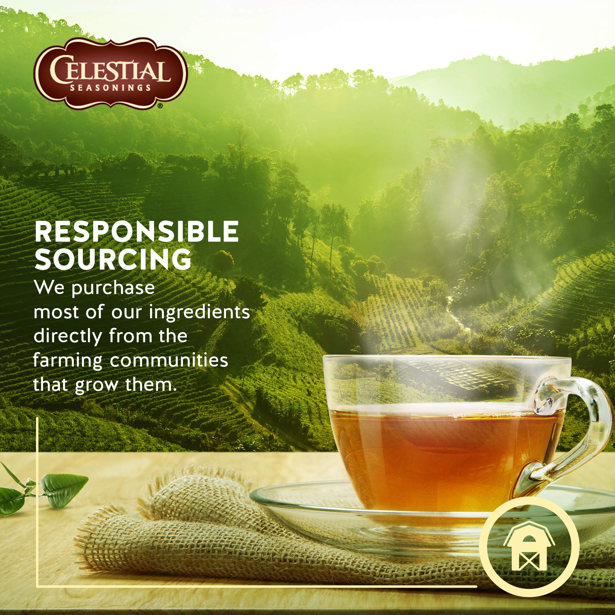 Celestial Seasonings Herb Tea Peppermint, 20-count (Pack of6)