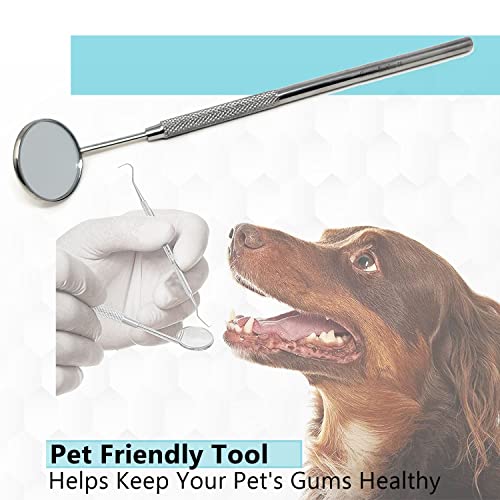 Stainless Steel Dental Mirror #5 with Handle 6.5", Dentist Tool for Teeth Cleaning Inspection