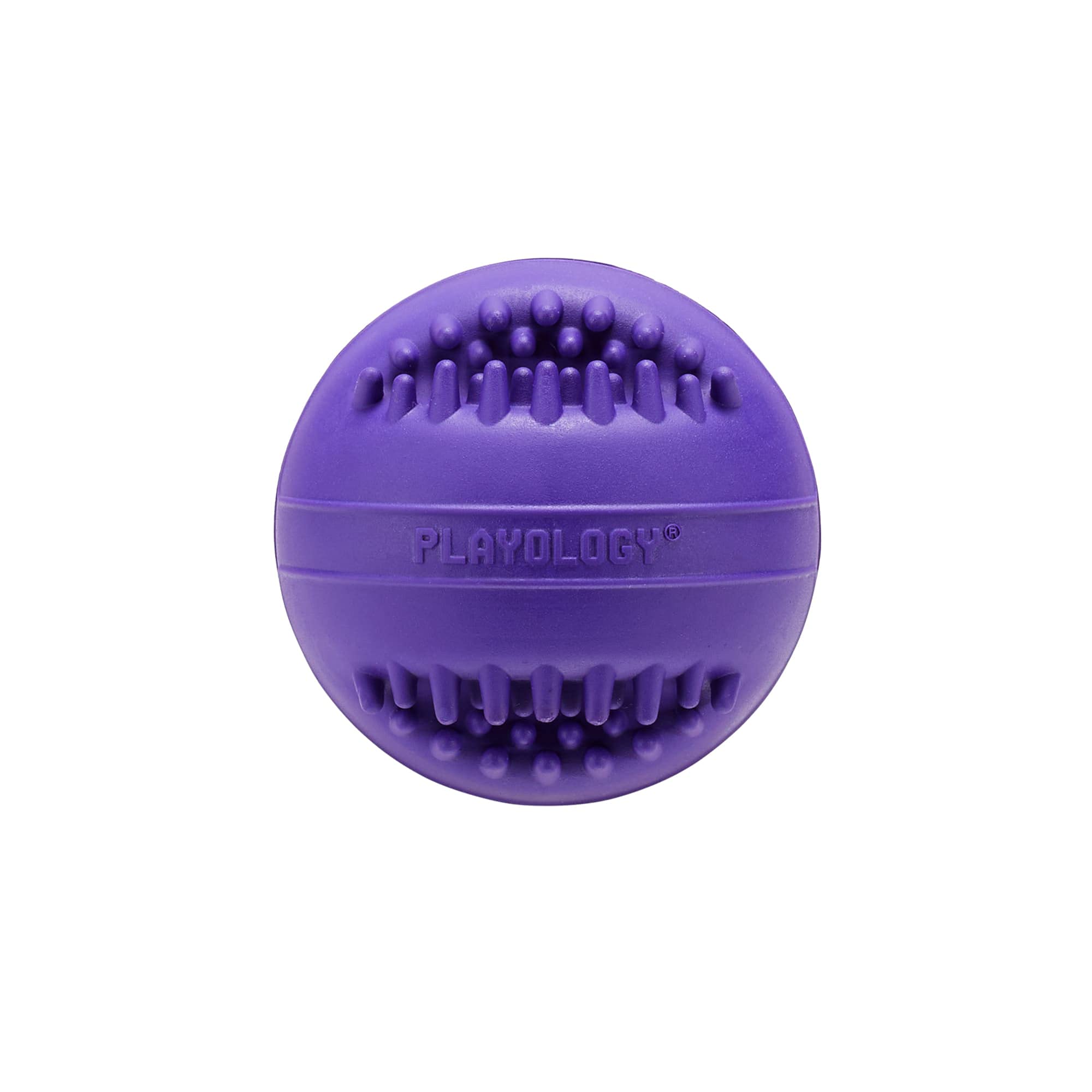 Playology Pork Sausage Scent Dental Chew Ball Dog Toy, Small