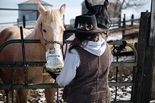 Hemptana Hemp Protein Supersnacks for Horses - Horse Treats to Support Digestive, Cognitive, & Joint Health - Improved Equine Stress Response β High Protein Horse Supplement - (4 lbs)