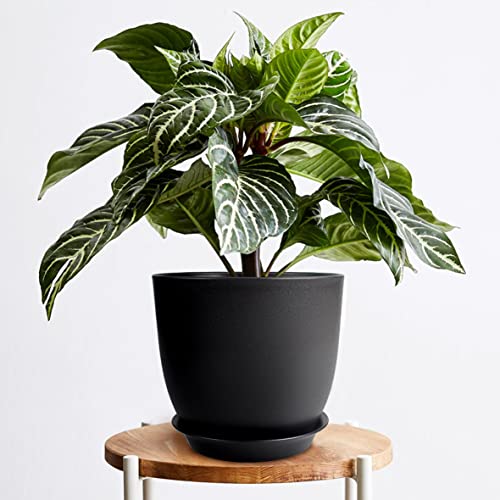 Giraffe Creation Plant Pots 7/6/5.5/5/4.5/4 inch, 6 Pack Flower Pots Outdoor Indoor, Planters with Drainage Hole and Tray, Black