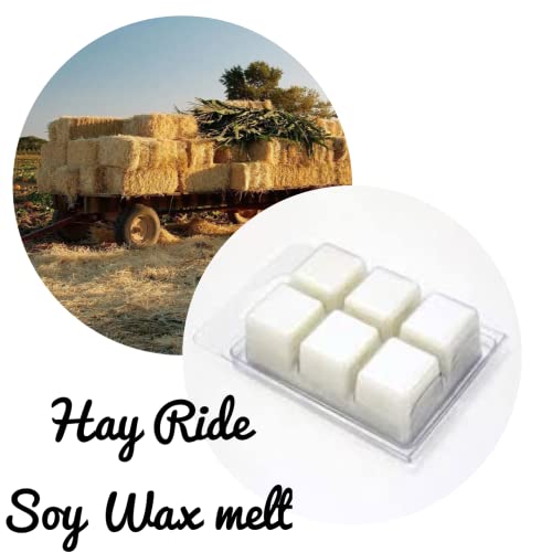 Hay Ride-Soy Wax Melt-Super Fragrant- Multiple Scents Available- Free Surprise Wax Melt Sample with Order -One Bar Six Cubes- Hand Poured - Dye Free (Hay Rides)