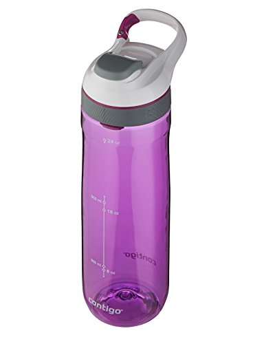 Contigo AUTOSEAL Cortland Water Bottle, 24 oz, Radiant Orchid