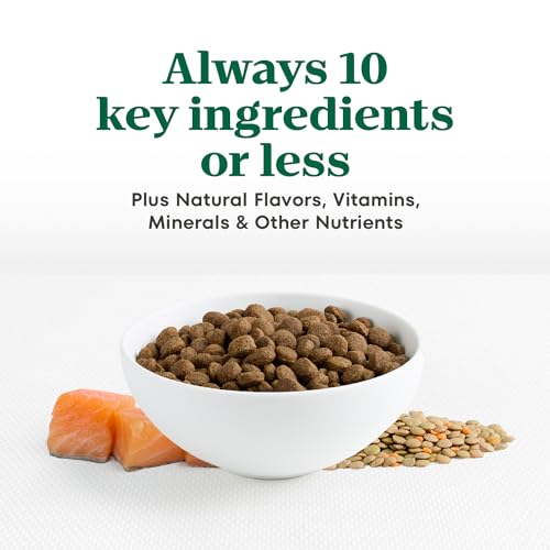 Nutro Limited Ingredient Diet Dry Dog Food, Salmon & Lentils Recipe, 22 lbs.