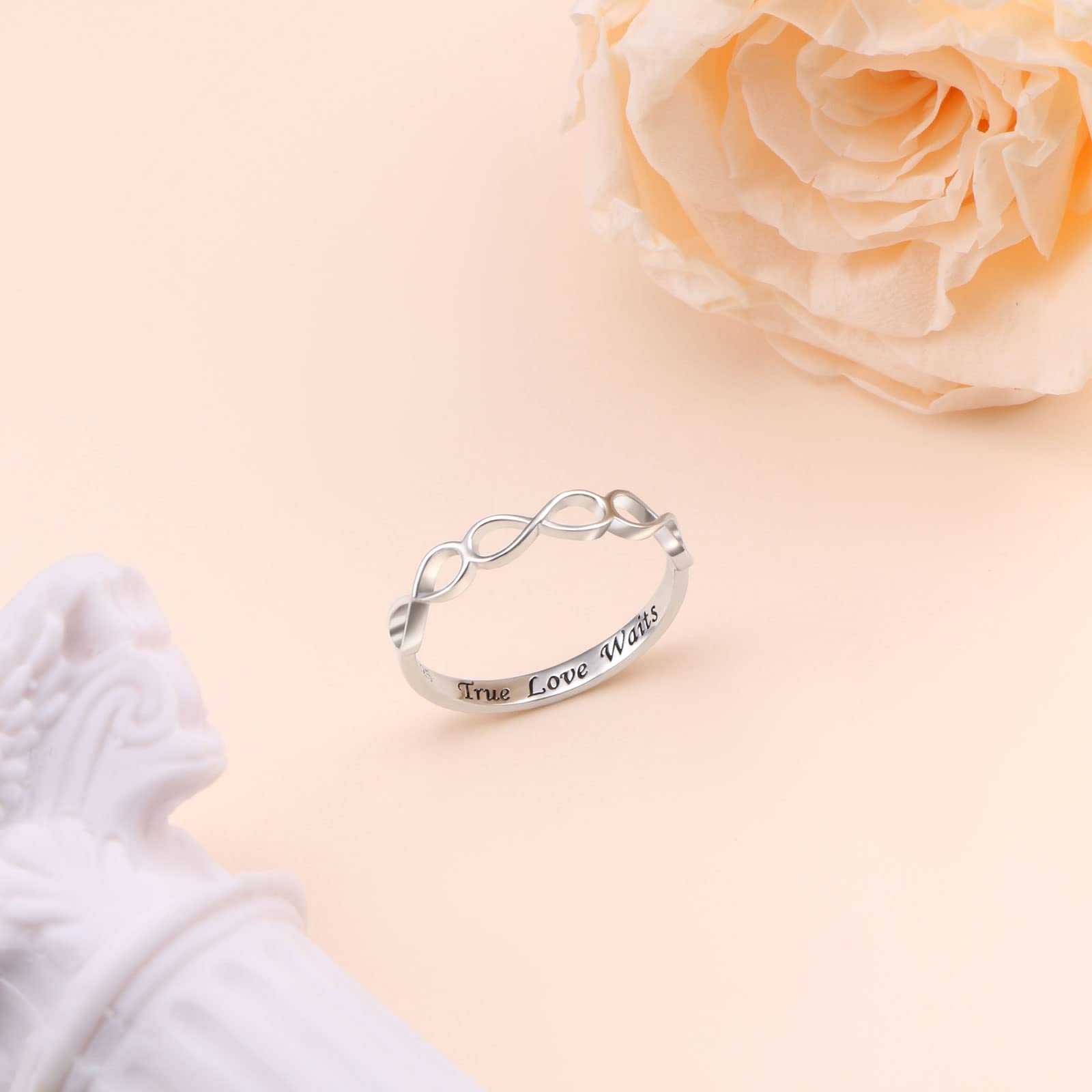 DAOCHONG Sterling Silver True Love Waits Ring Simple Infinity Ring Eternity Ring for Women Girlfriend Wife Size 6