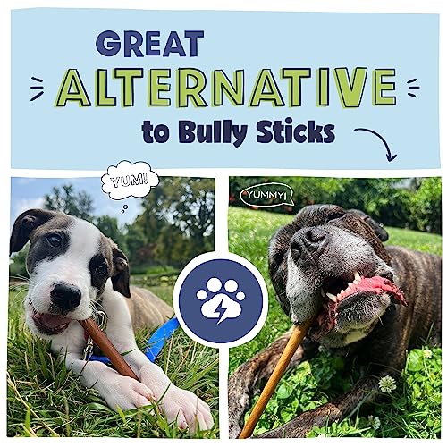 Pawstruck All Natural 11-12" Roasted Collagen Sticks for Dogs - Low Odor & Long Lasting Alternative to Bully Sticks and Rawhide Chews - Grain Free, Single Ingredient & Vet Approved - 5 Pack