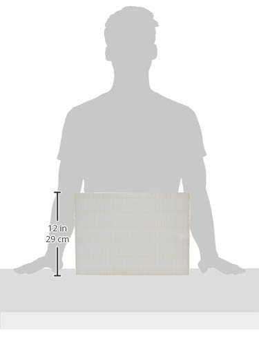 Sharp True HEPA Replacement Filter For FZ-A60HFU,Black