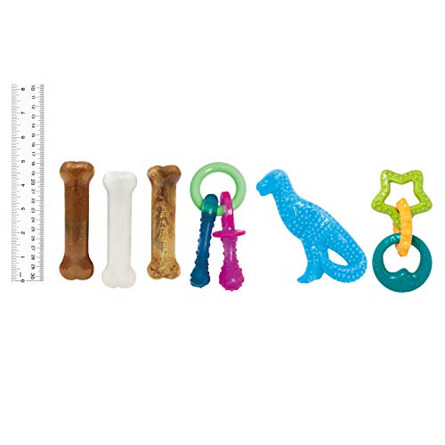 Nylabone Puppy Starter Kit with Chew Toys - Puppy Toys and Chew Treat Bundle - Puppy Supplies - Chicken and Bacon Flavors, Small/Regular (6 Count)