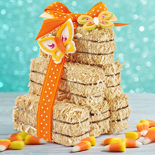 FloraCraft 12 Piece Decorative Straw Bale 1 Inch x 1.25 Inch x 2.5 Inch Natural