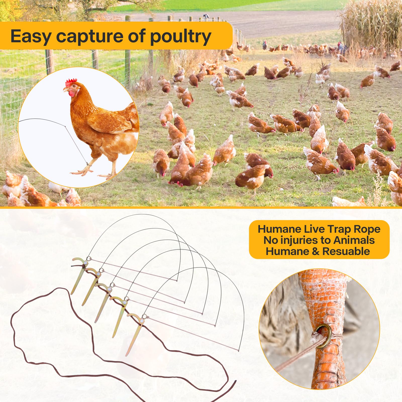 Hunting Trap for Birds Bird Trap for Chicken, Pheasant,Wild Duck, Partridge Mallard and Other Birds Tying Birds' feet Won't Hurt Them