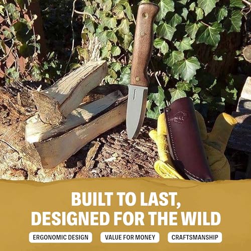 Condor Bushlore Knife | Bushcraft Knife | High Carbon Steel | Walnut Handle | Scandi Grind | Small Fixed Blade Knives | Hand Crafted Leather Sheath | Camp Knife | 3mm Thick | 4.3in Blade | 6.1oz