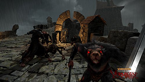 Warhammer: End Times - Vermintide (PS4) (輸入版)