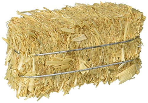 FloraCraft 12 Piece Decorative Straw Bale 1 Inch x 1.25 Inch x 2.5 Inch Natural