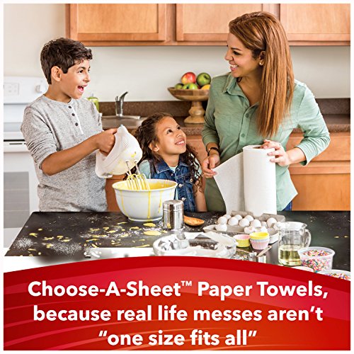 Scott Choose-A-Sheet Regular Roll Paper Towels, 6 Count (Pack of 4) White, Quick Absorbing Ridges for Easy Cleanup