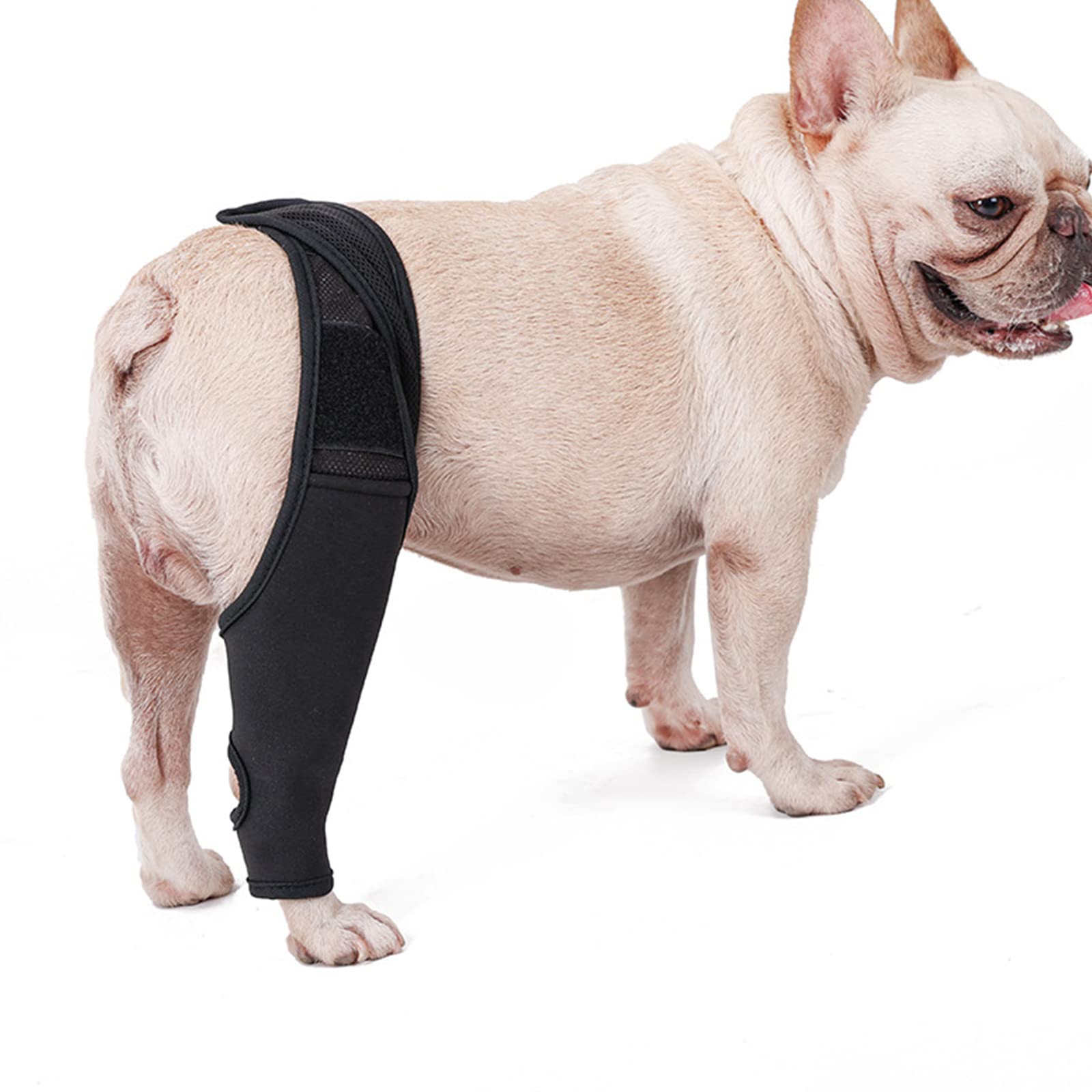 LKJYBG Pet Dog Knee Brace Adjustable Multifunctional Protective Gear with Magic Stickers for Wounds Heals Black M