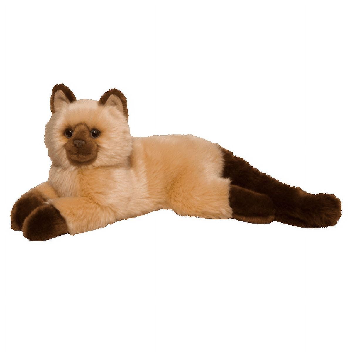Sebastian HIMALAYAN CAT (2/12)