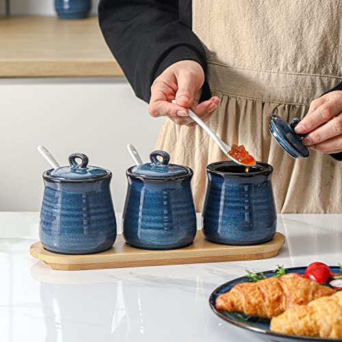 Hasense Porcelain Condiment Jar,10oz Spice Container with Lid Spoon and Bamboo tray,Small Salt Sugar Pepper Seasoning Pots Box Set of 3,Ceramic Condiment Container for Home kitchen Counter(Blue)