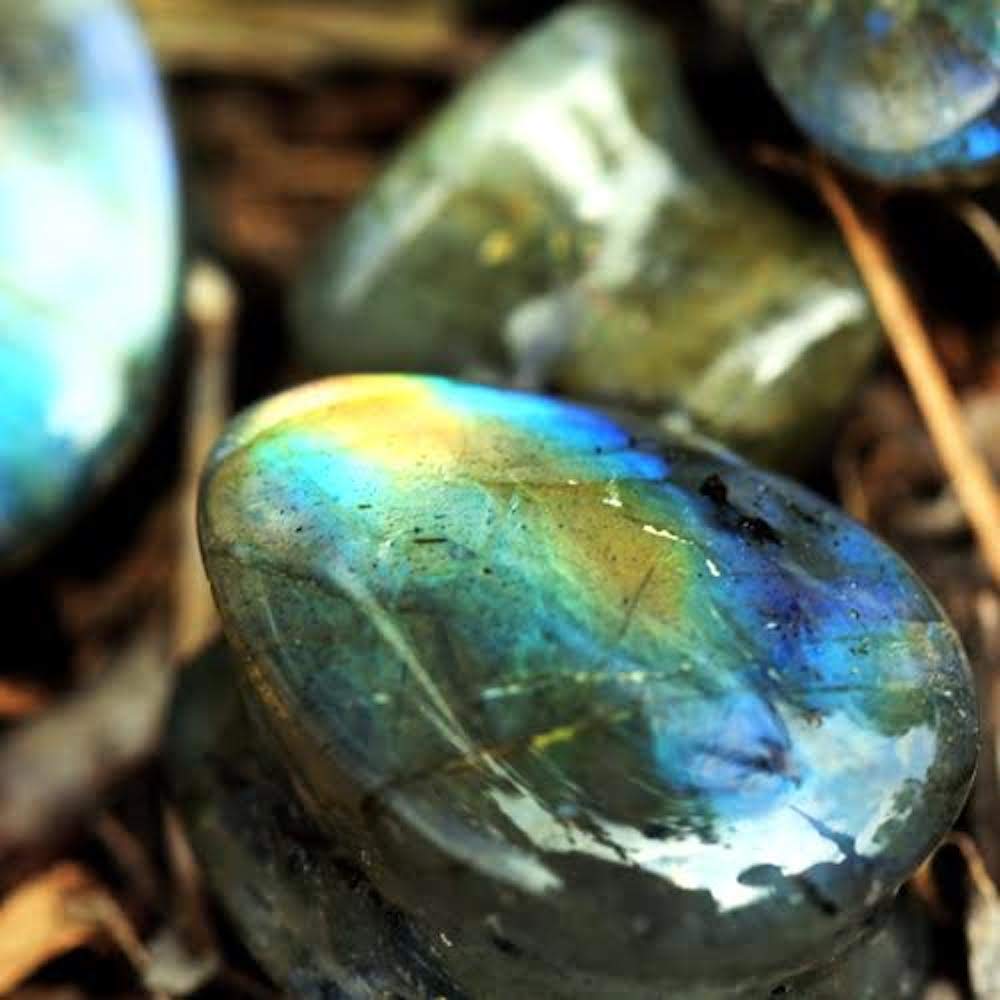 Covet Jewelry AAA Grade Natural Labradorite Double Flare Teardrop Plug (1/2")