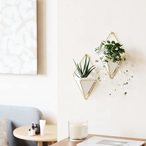 Umbra Trigg Hanging Planter Vase & Geometric Wall Decor Container - Great For Succulent Plants, Air Plant, Mini Cactus, Faux Plants and More, White Ceramic/Brass (Set of 2), Small