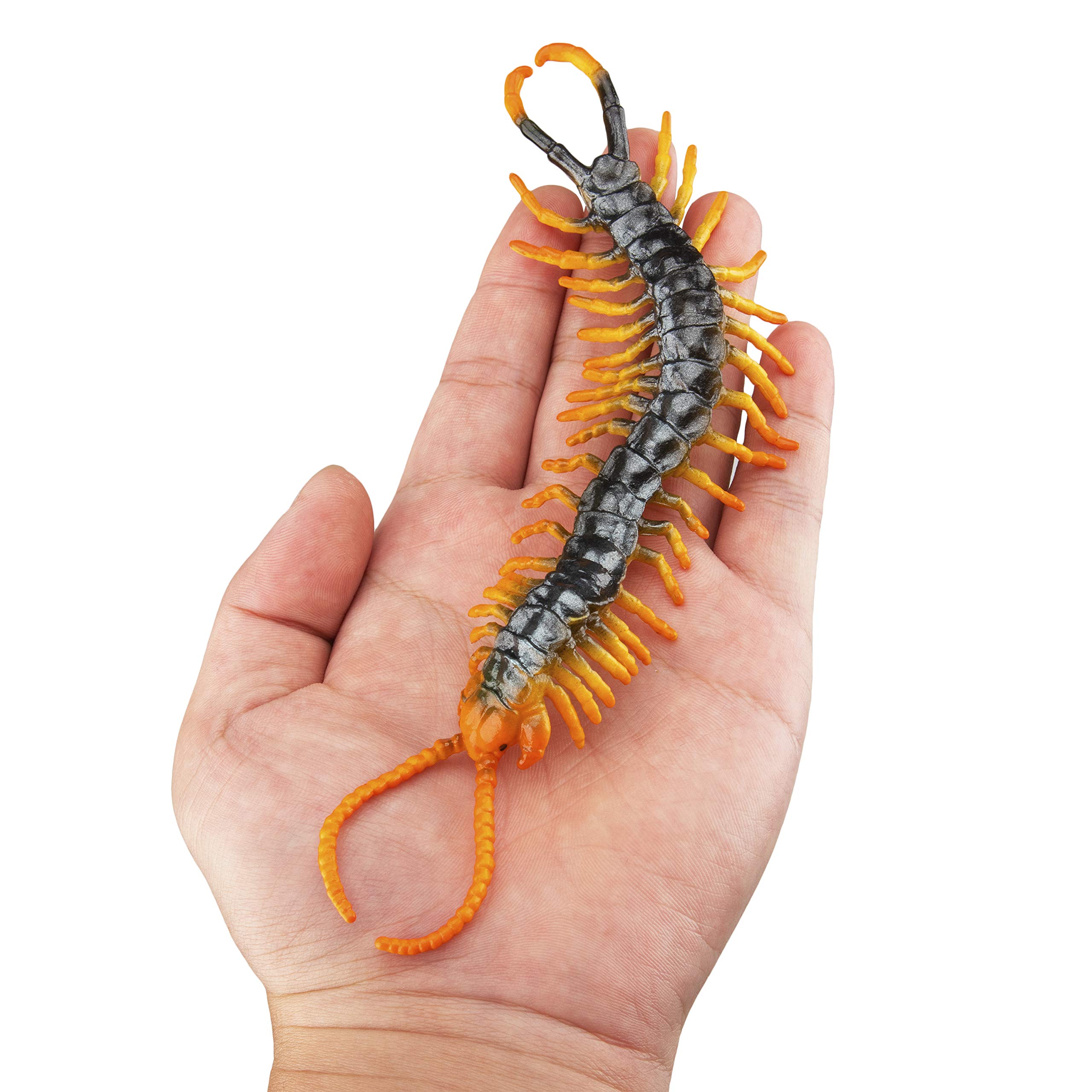 Toymany 12PCS Realistic Bugs Figures Toys - Plastic Insects Figurines Set with Bee Beetle Mantis Spider Ladybug Butterfly Scorpion - Halloween Party Favor School Project Gift for Kids Toddlers