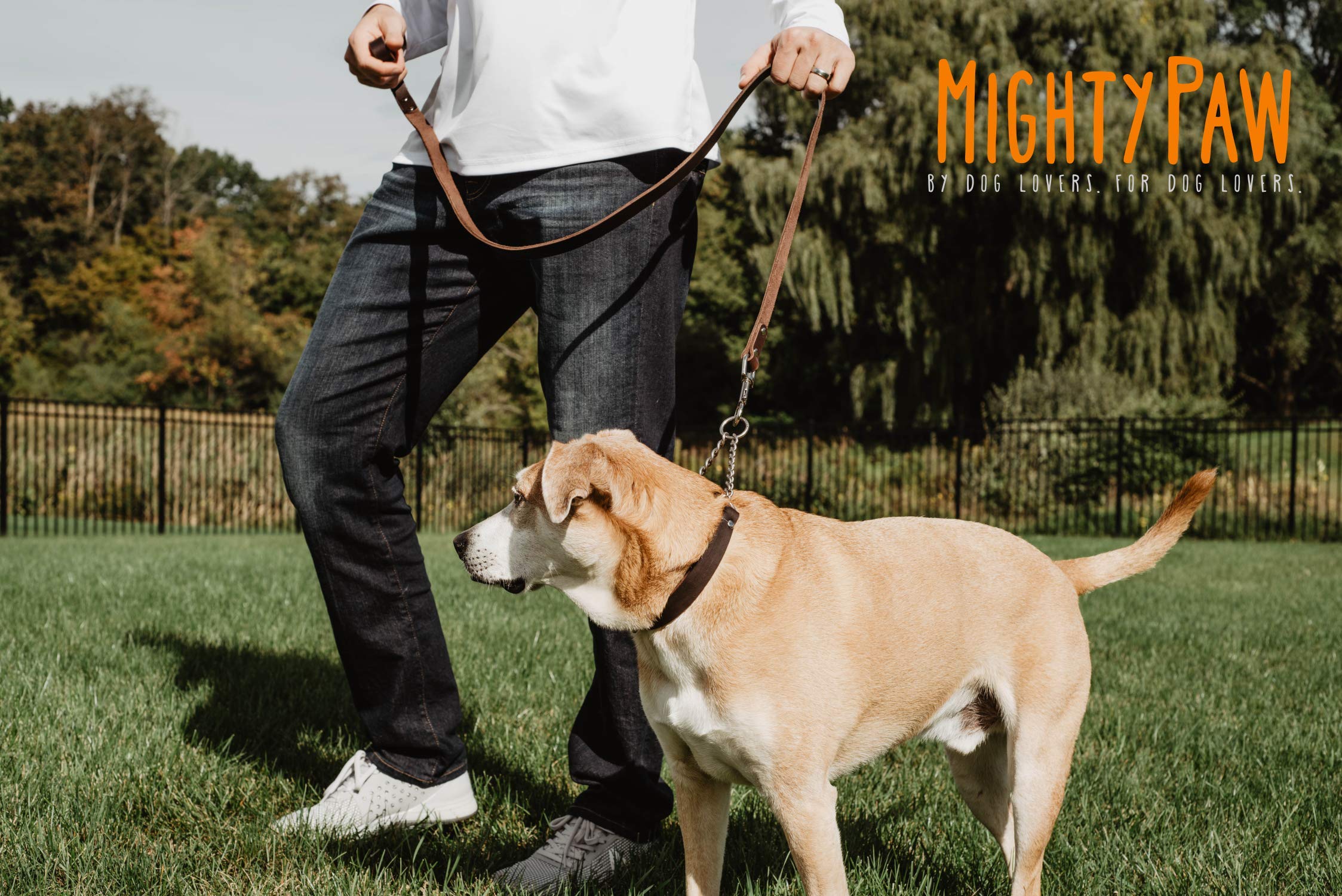 Mighty Paw Martingale Dog Collar - No Pull Design - Stainless Steel Chain - Limited Chain Cinch Training - Dog Collar Leather Martingale - Brown Leather Martingale Training Collar - Large Size Collar