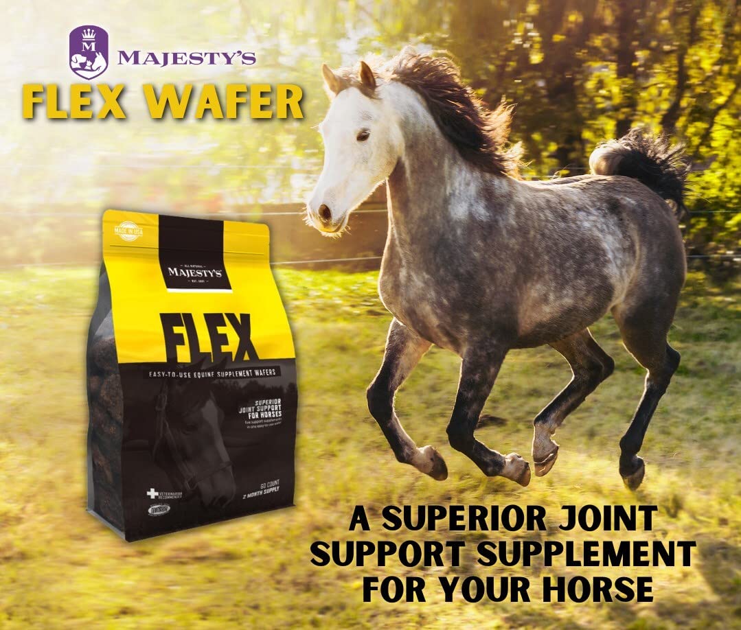 Majesty's Flex Wafers - Superior Horse/Equine Joint Support Supplement - Glucosamine, MSM, Chondroitin, Yucca, Vitamin C (Regular, 2 Pack (120 Count Total))