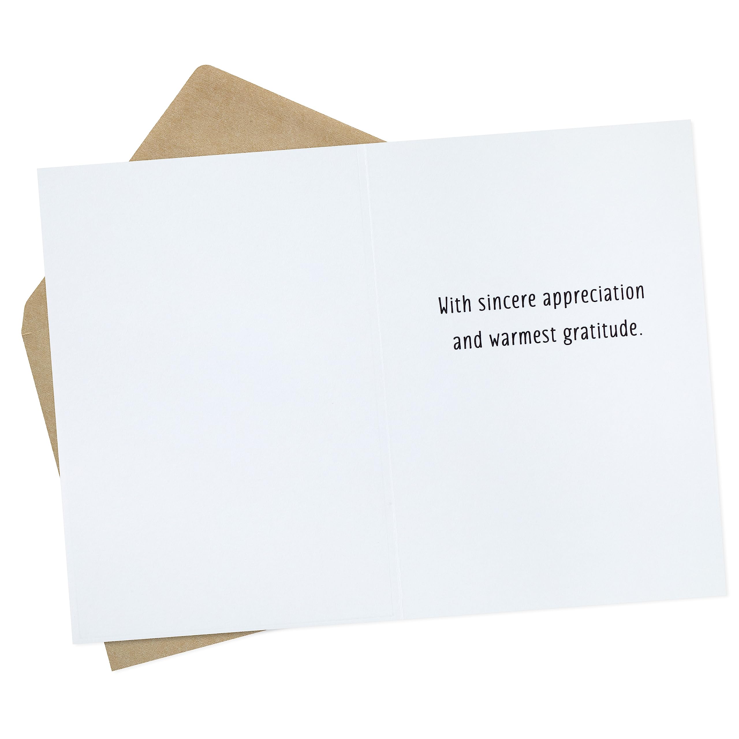 Hallmark Fall Thank You Cards (6 Cards with Envelopes) for Thanksgiving, Teachers, Clergy Appreciation, Boss's Day