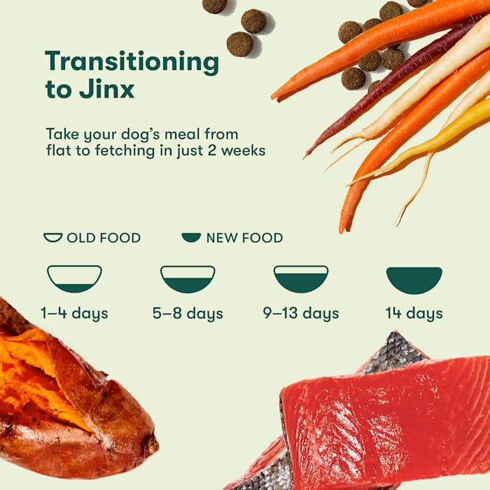 Jinx Salmon, Sweet Potato, Carrot & ALS Kibble Dry Dog Food, 11.5 lbs.