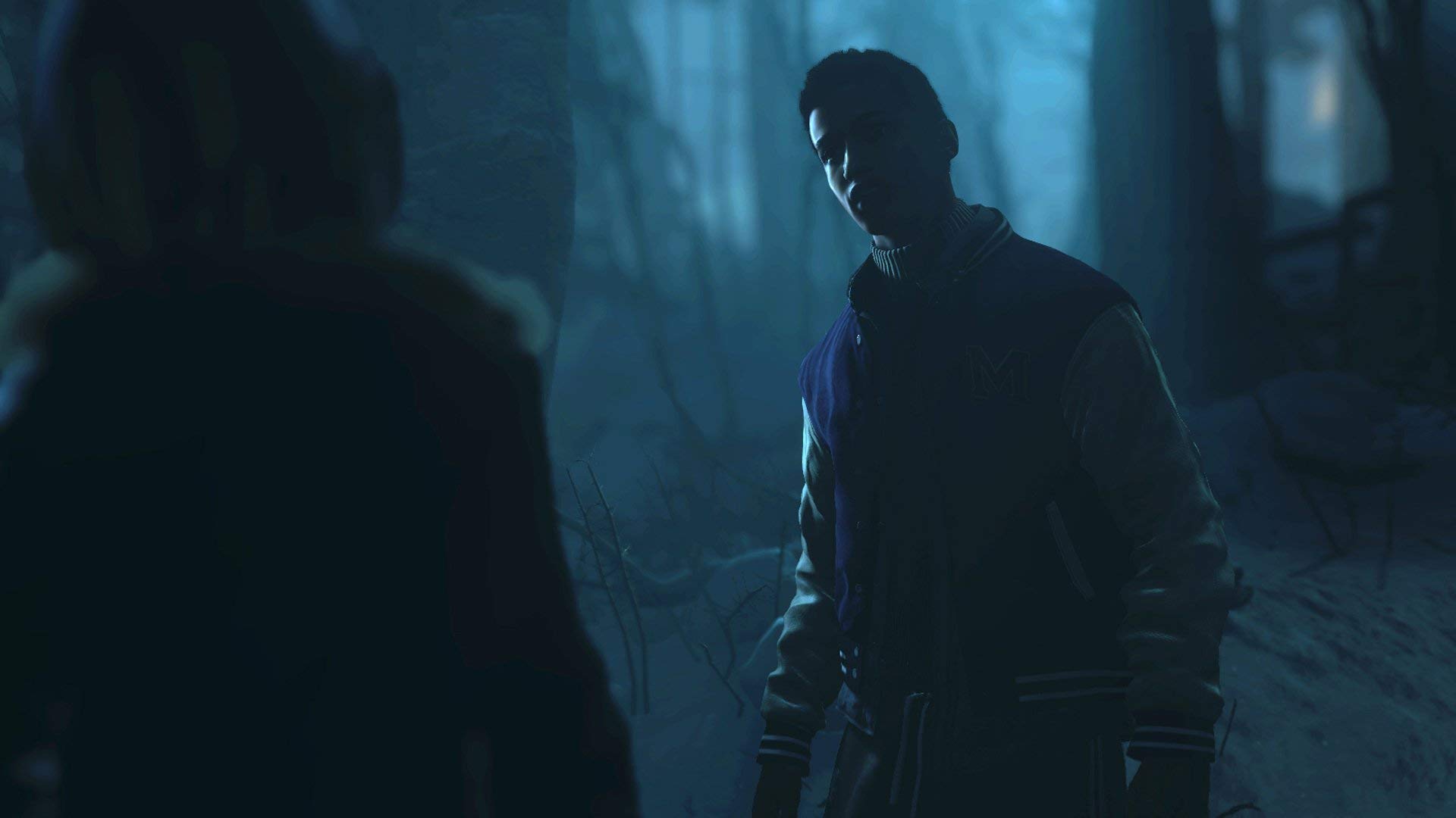 Until Dawn - PlayStation 4 (Renewed)