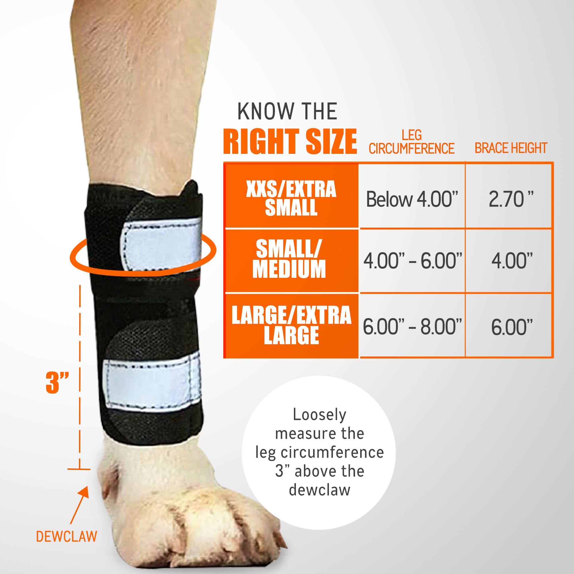 NeoAlly- Front Leg Brace for Dogs & Cats, Dog Leg Brace with Metal Spring Inserts, Dog Leg Sleeve for Carpal Support, Dog Leg Sleeve with Reflective Straps, L/XL, Pair