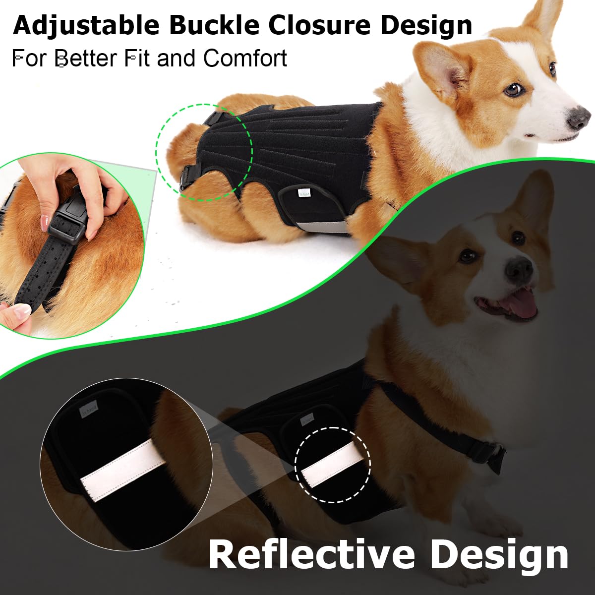 In hand Back Brace for Dogs, Canine Dogs Back Brace Helps Small Dogs with IVDD, Arthritis, Surgery Recovery, Spinal Disc Pain Relief, Back Protector Support for Back Disease Prevention
