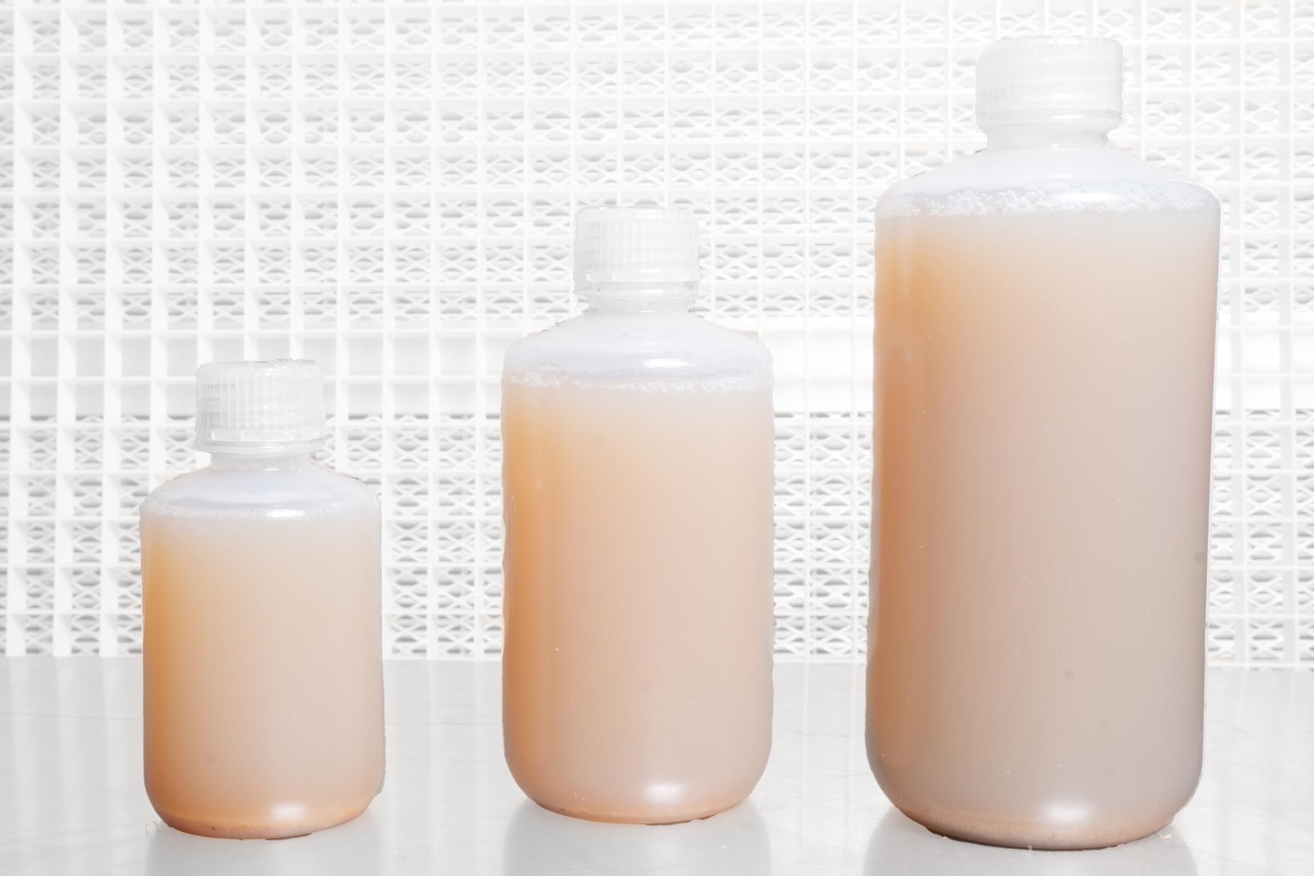 Heat-N-Pour Nutrient Agar | Cleans Spore Syringes | Sterilized and Ready to Use | Just Heat And Pour | For Petri Dishes and Cloning Mushrooms (125ml Bottle)