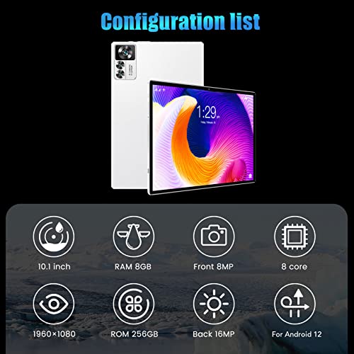 DAUZ HD Tablet, 10.1in Tablet 5.0 USB C Charging Port 100‑240V Octa Core Front 800W Rear 1600W for Elderly for School for Office (US Plug)