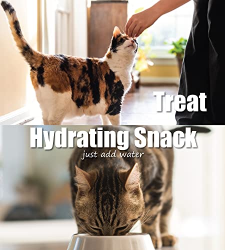 Whole Life Pet Freeze Dried Chicken Cat Treats - Human Grade - One Ingredient - Sourced and Made in The USA