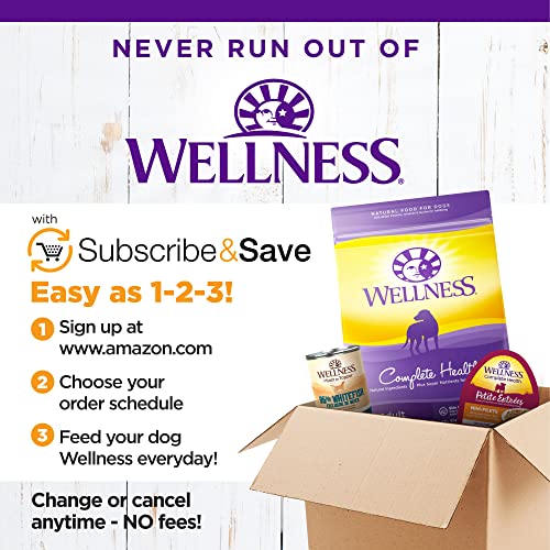 Wellness Complete Health Toy Breed Dry Dog Food with Grains, Chicken & Rice, 4-Pound Bag