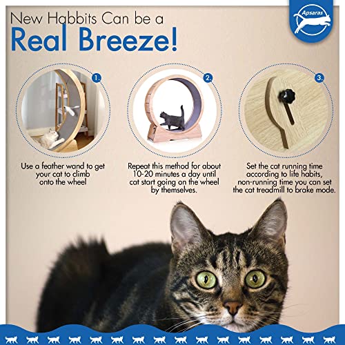 HYPULY Cat Exercise Wheel for Indoor Cats, Large 42.5 Inch Cat Treadmill Exerciser for Fitness and Healthy, Suitable for Most Cats