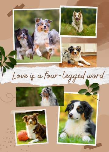 InnoBeta Australian Shepherd Gifts for Women, Best Aussie Blanket for Aussie Mom, Australian Shepherd Throw Blanket, 50 x 65 inch, Skin Friendly