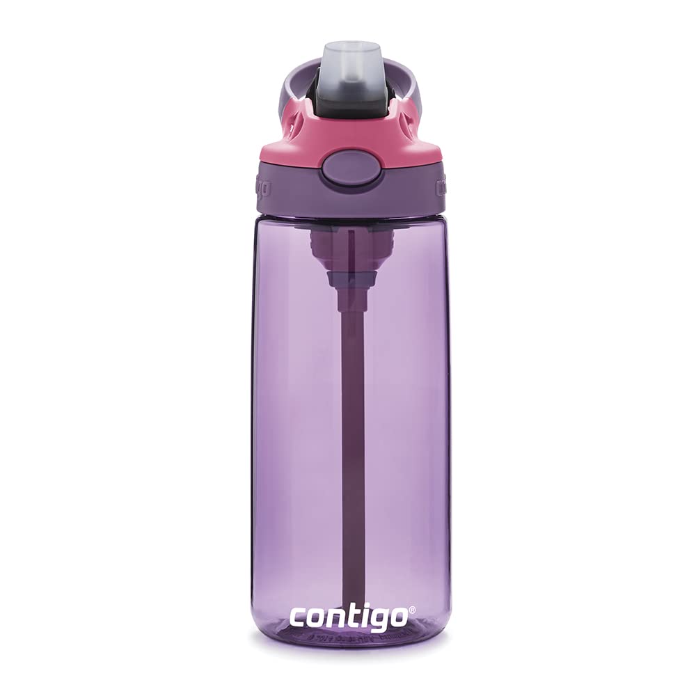 Contigo Ashland 2.0 Leak-Proof Water Bottle with Lid Lock and Angled Straw & Aubrey Kids Cleanable Water Bottle with Silicone Straw and Spill-Proof Lid, Dishwasher Safe, Juniper