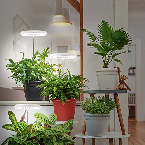 eWonLife Grow Lights for Indoor Plants, Plant Lamp Full Spectrum for Growing, 2 Pack, Height Adjustable with 3/9/12H Auto Timer, 3 Spectrum Modes with 72 LEDs