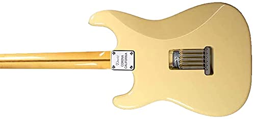 Dinikally Custom Electric Guitar Neck Plate Personalized Engraved Neck Plate for Electric Guitar, Electric Bass