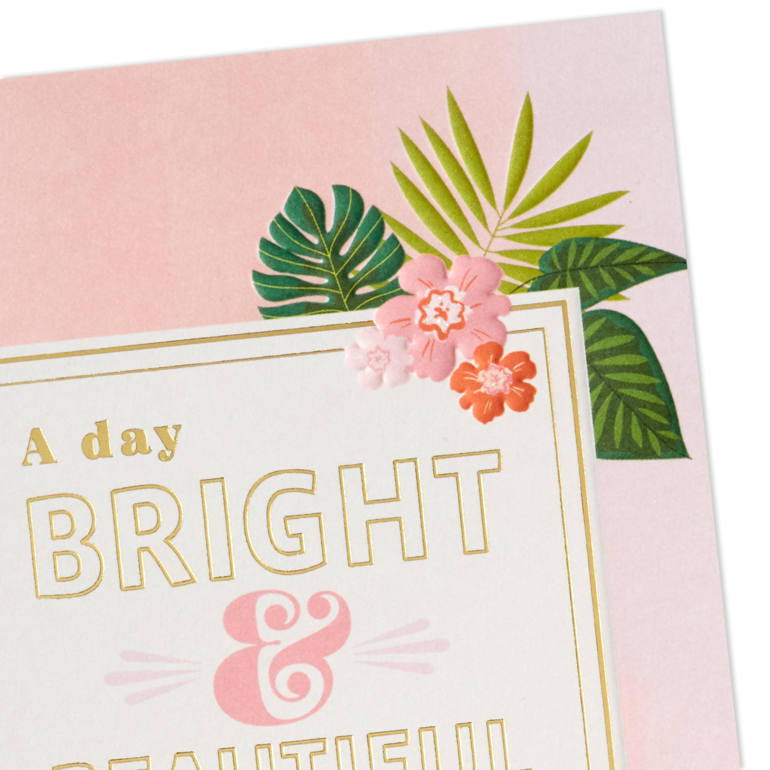 Hallmark Elegant All-Occasion Card Assortment (12 Cards with Envelopes, Refill Pack Card Organizer Box) Birthday, Thank You, Sympathy