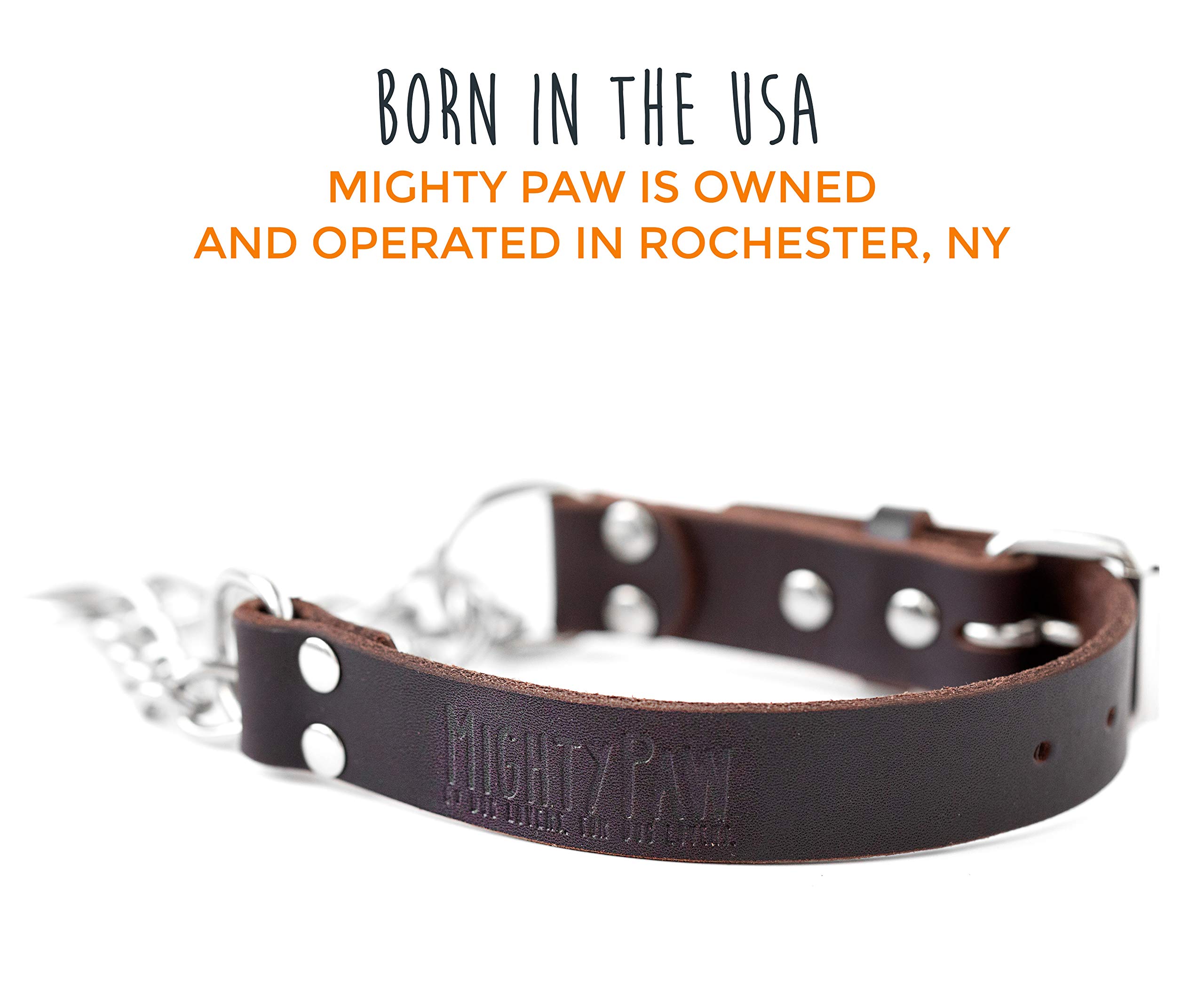 Mighty Paw Martingale Dog Collar - No Pull Design - Stainless Steel Chain - Limited Chain Cinch Training - Dog Collar Leather Martingale - Brown Leather Martingale Training Collar - Large Size Collar