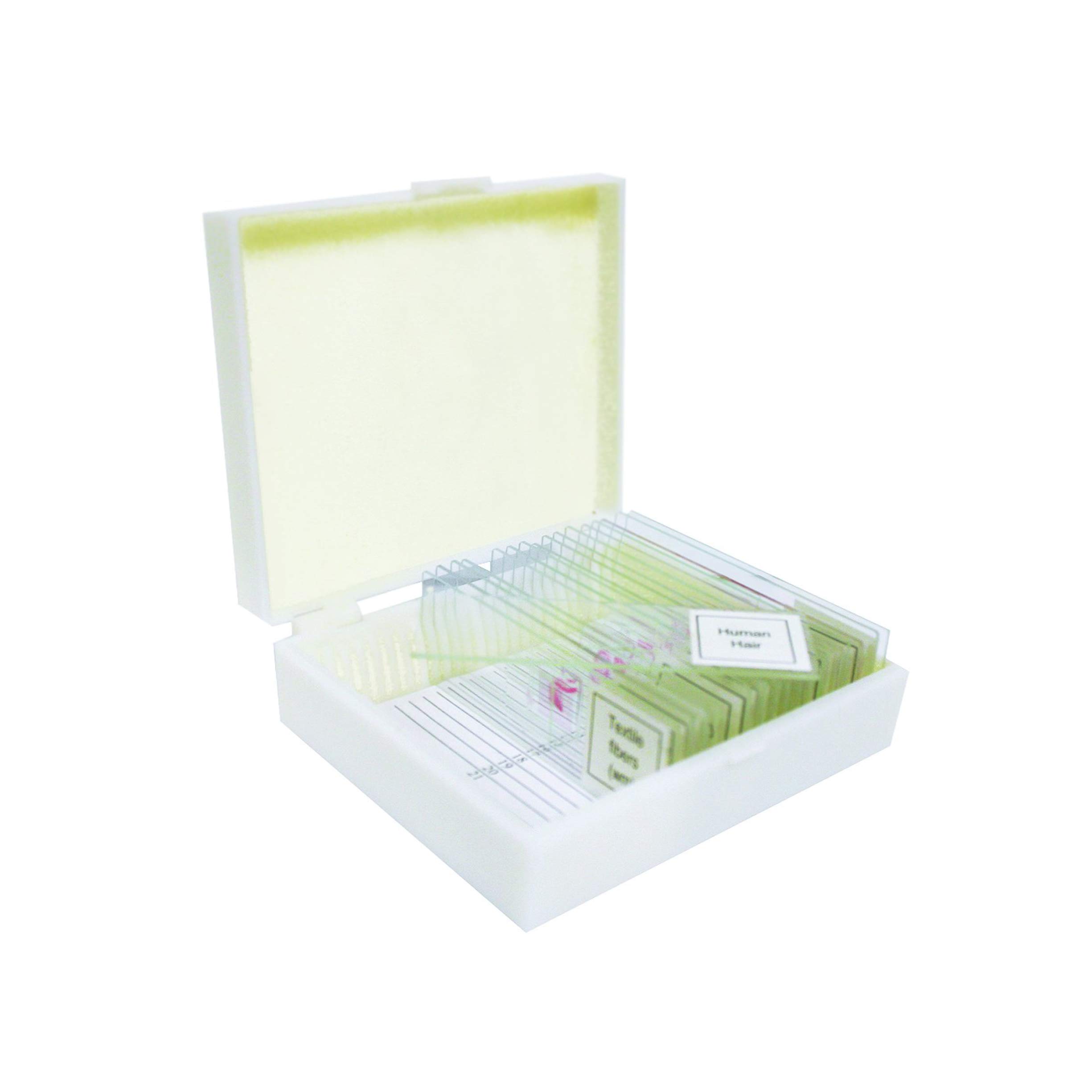 Vision Scientific VSH130 Prepared Slide Set – Meiosis & Mitosis (Set of 9) Package | Slides are Clearly Labeled | Specimens are Cover Slip Sealed | Ideal Set for High School Observation